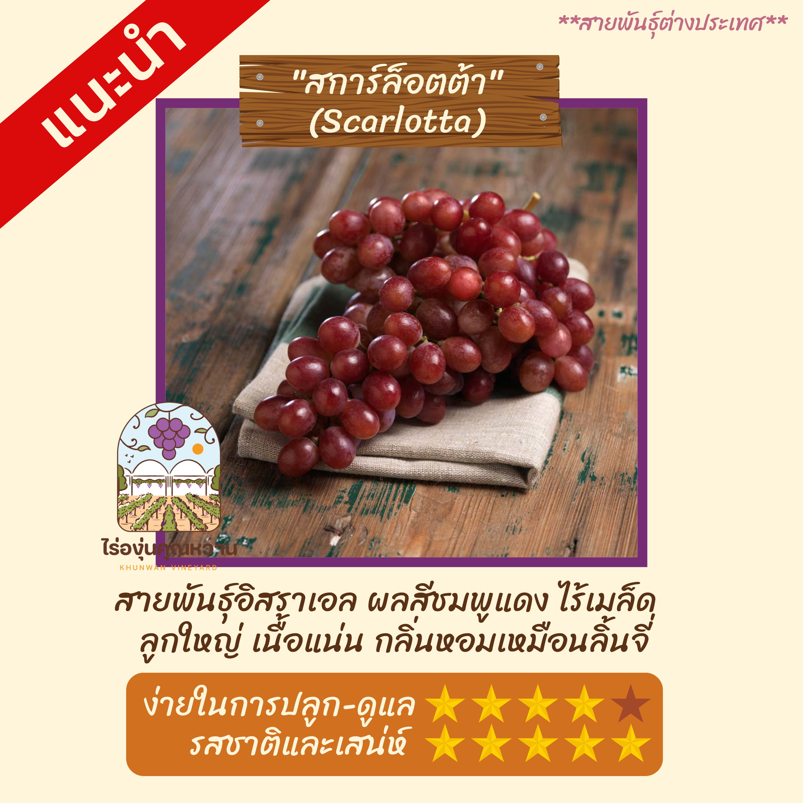 ต้นองุ่น สายพันธุ์ สการ์ล้อตต้า (Scarlotta) - ไร่องุ่นคุณหวาน Khunwan ...